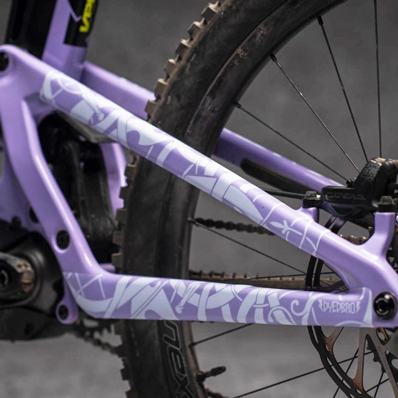 DYEDBRO Viking E-Bike Frame Protection
