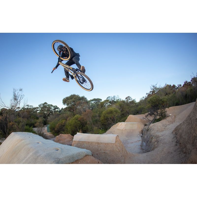 Polygon Trid 26" DJ Bike