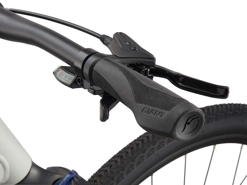 2021 Giant Roam 3 Disc Bike