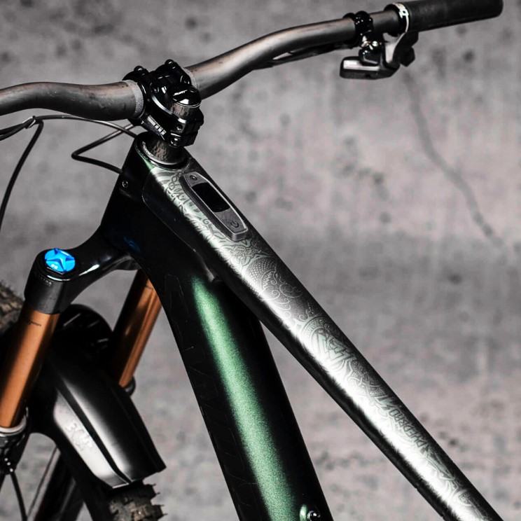 DYEDBRO Viking E-Bike Frame Protection