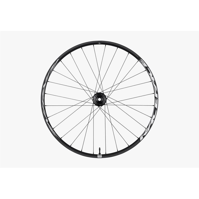 Raceface Turbine Electric Mtb Front Wheel 15X110 6-Bolt 29"