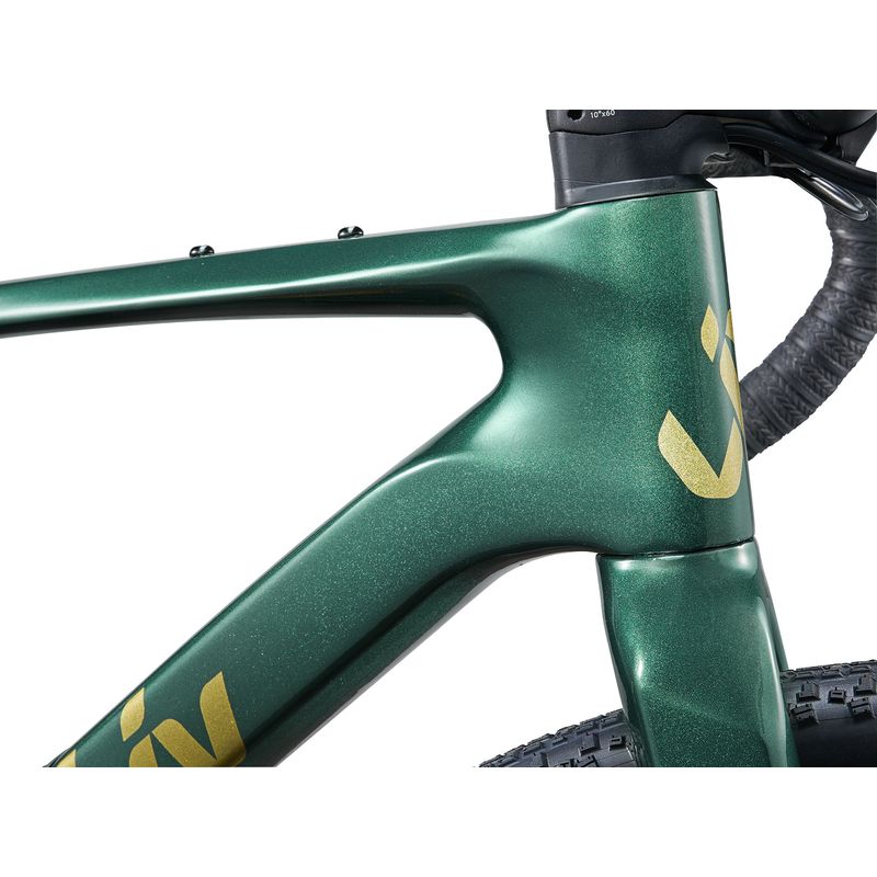 2024 Liv Devote Advanced 2 Women's Gravel Bike Kelp Forest