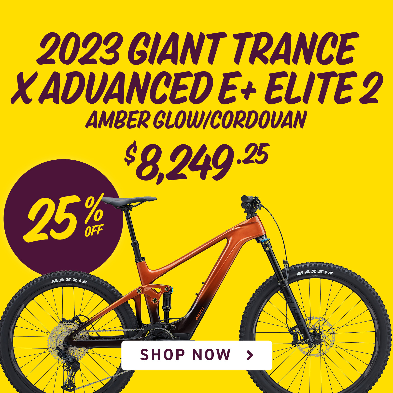 Evo Cycles | NZ's Bike Shop